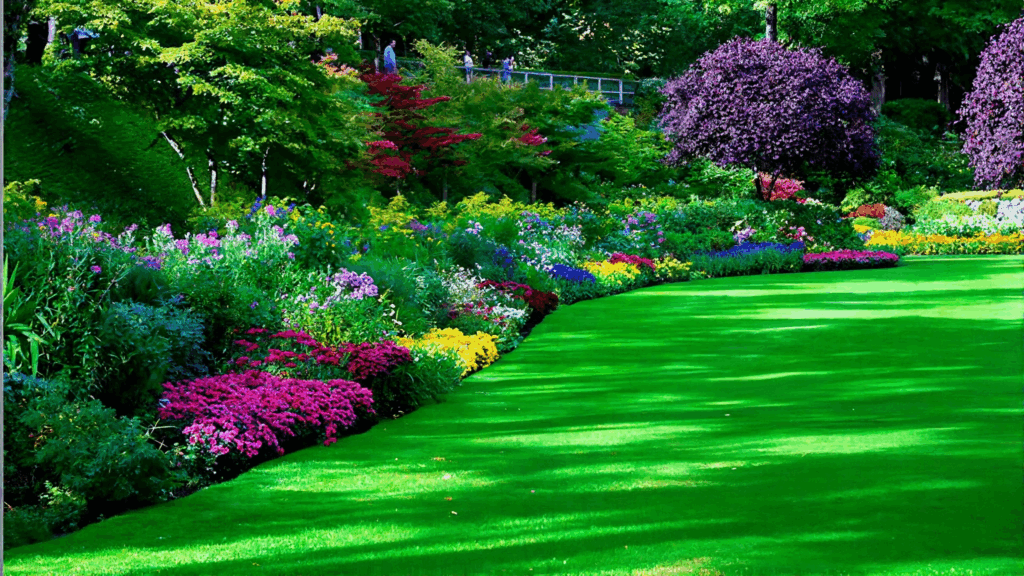 Service Area - Michael’s Landscaping | Expert Landscape Design and ...